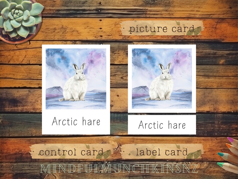 Arctic Animals 3-part Nomenclature Cards | Polaroid-style and ...