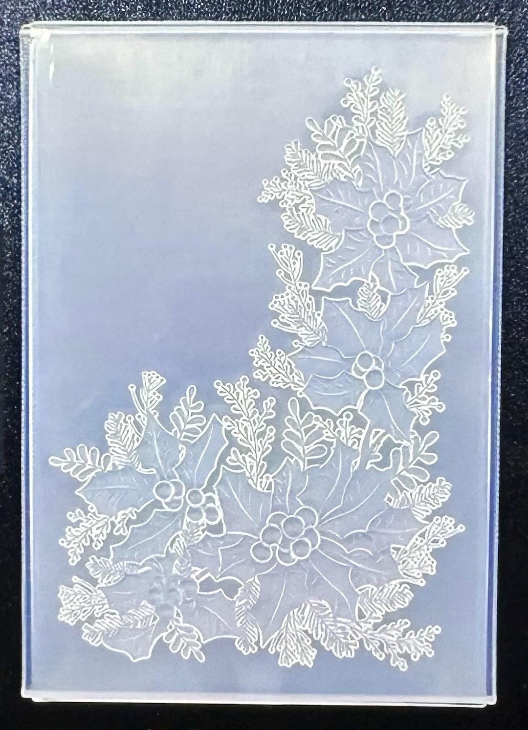 3D Embossing Folder, Brand New, Never Been Used, Poinsettia Flowers ...