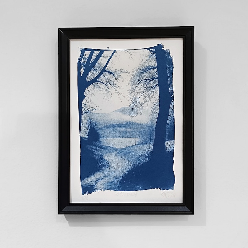 Cyanotype Ideas - Etsy