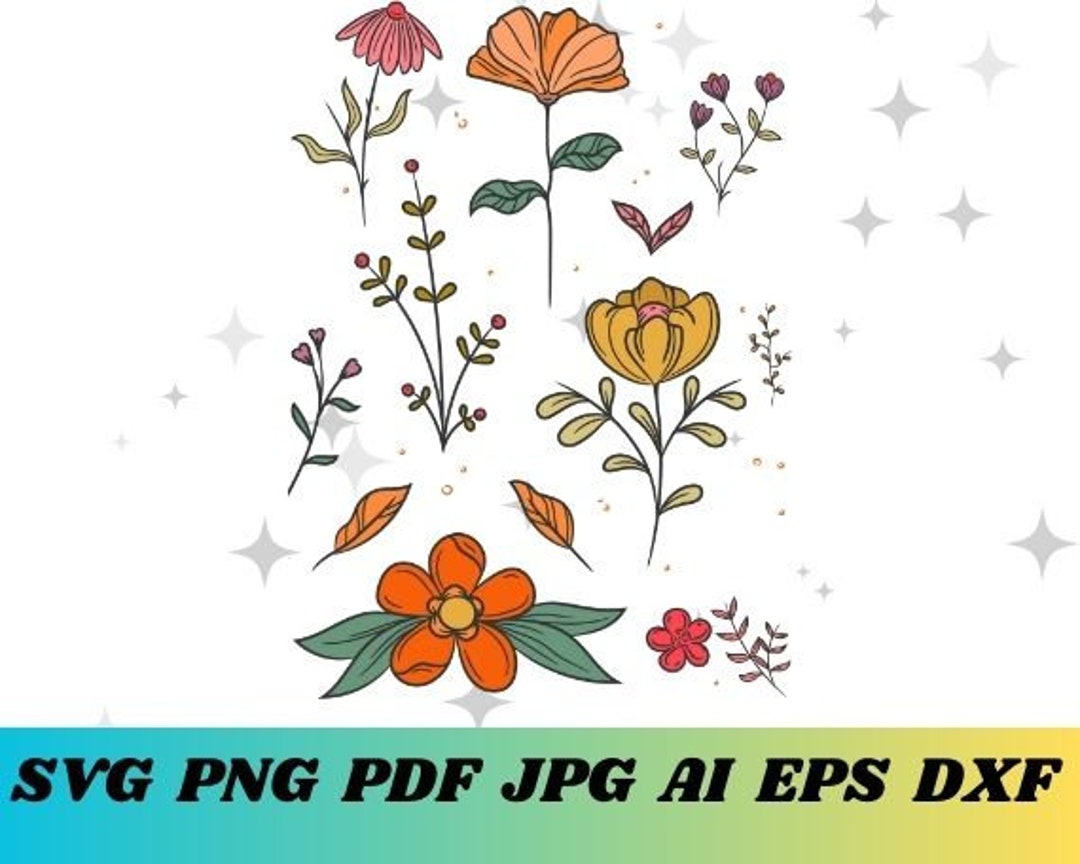 Hand-drawn Flower Clipart Botanical Design Digital Download Rolled ...