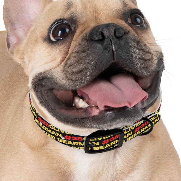 Dog Collar Ferrari - Etsy