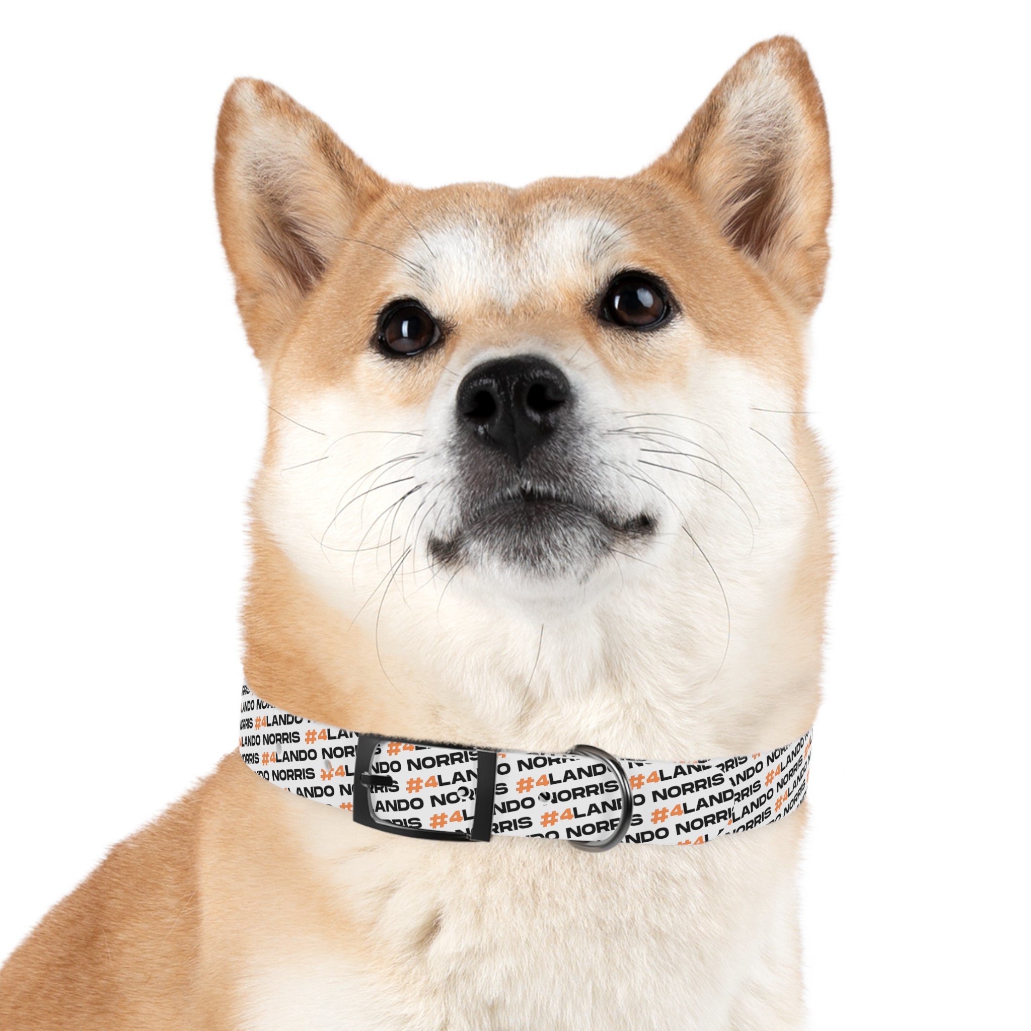 Lando Norris Formula One Collar: Gear up Your Pup for the Race! Mclaren ...