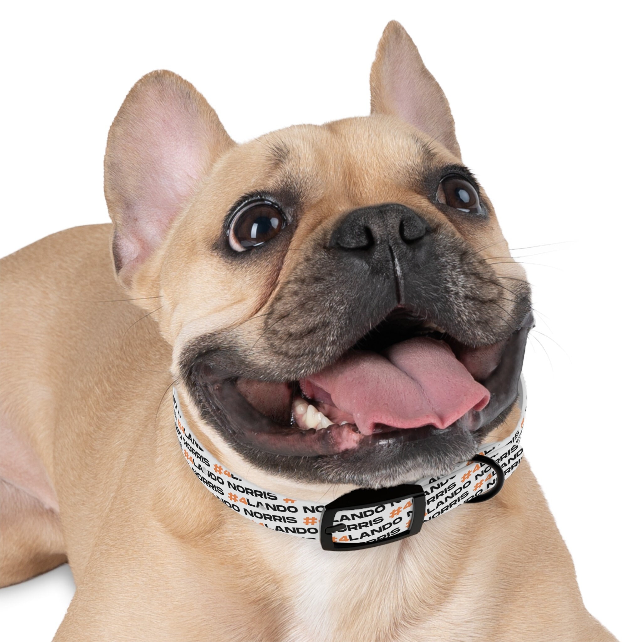 Lando Norris Formula One Collar: Gear up Your Pup for the Race! Mclaren ...
