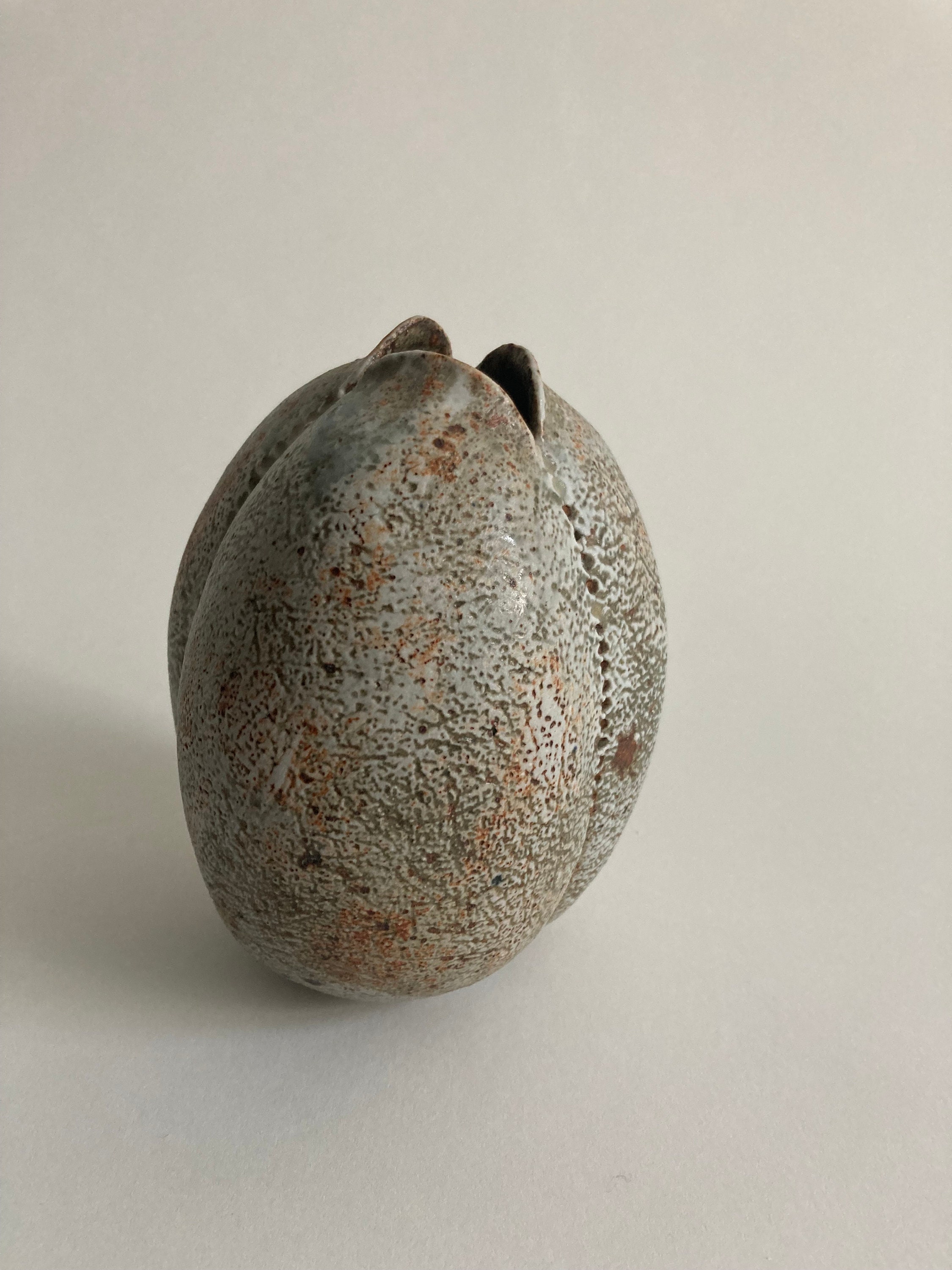 Stoneware Seed Vessel by Alan Wallwork - Etsy