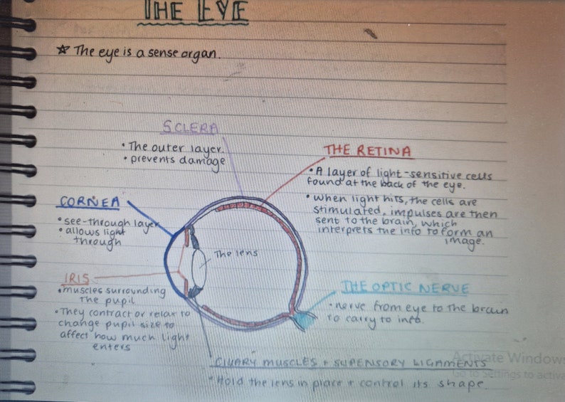 Gcse Biology Aqa Notes - Etsy