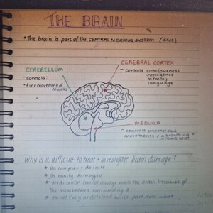 Gcse Biology Aqa Notes - Etsy