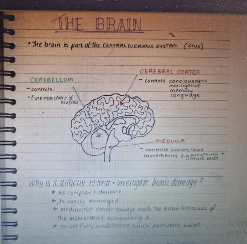 Gcse Biology Aqa Notes - Etsy