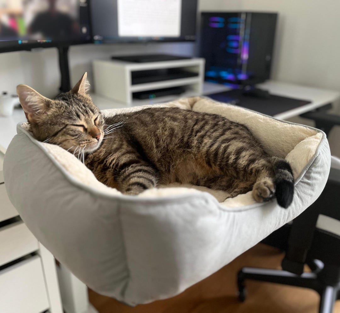 Desk Cat Bed | Attachable Cat Bed for Desks | Hand Made in Germany ...