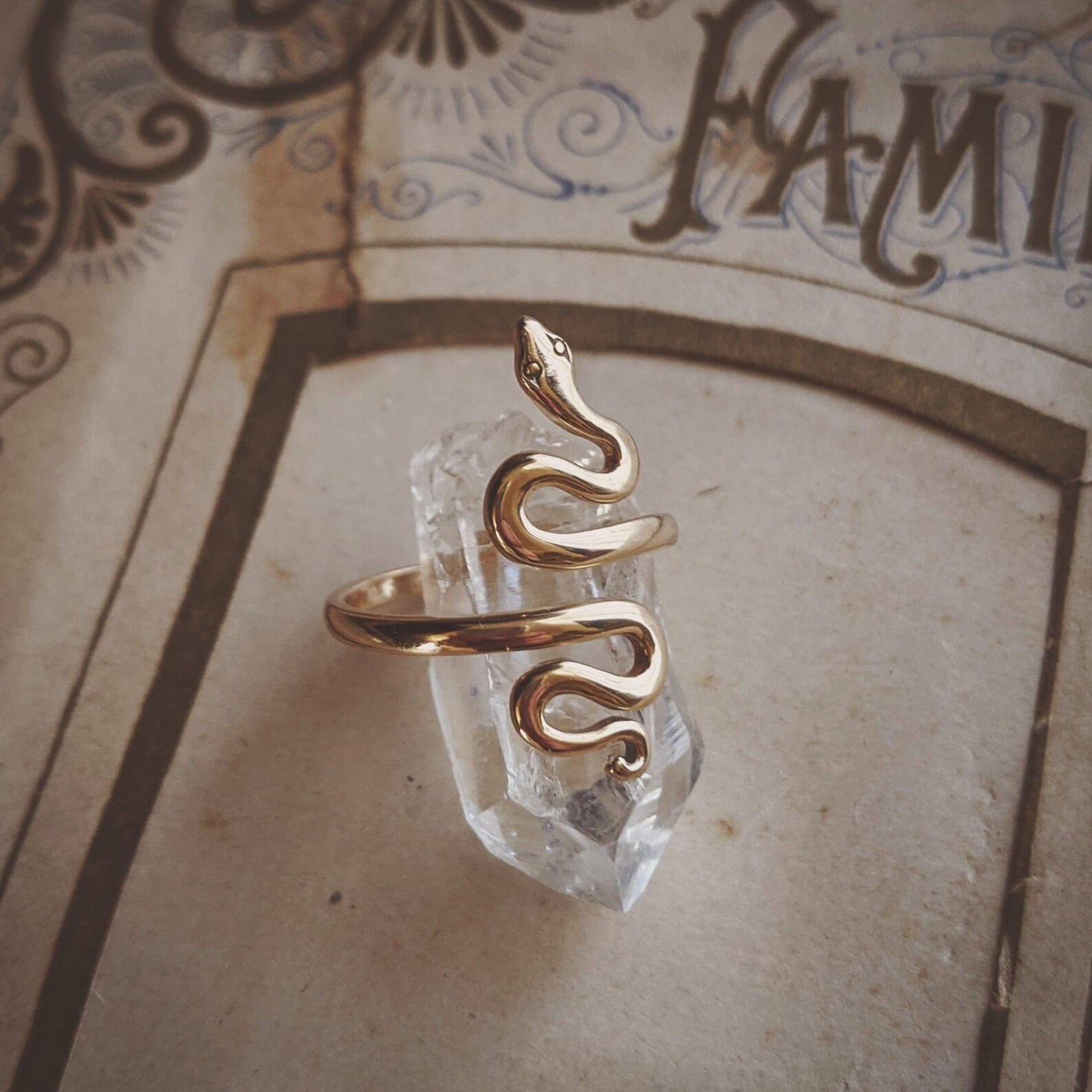 Simple Bronze Snake Ring ... Adjustable | Etsy