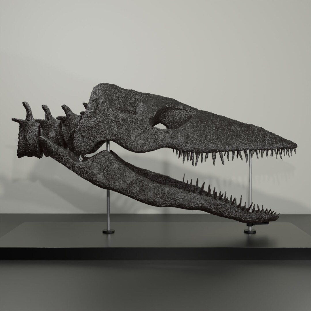 Plesiosaurus Skull Handmade Dinosaur Sculpture 30CM 50CM With Great ...