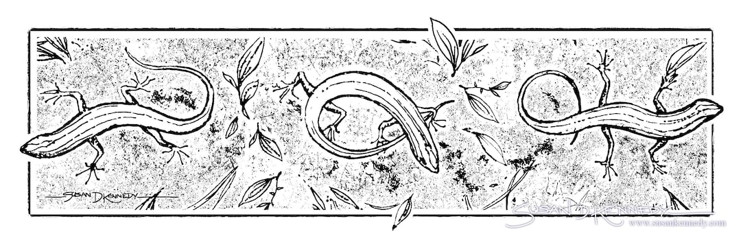 Rainbow Skinks Art Print: Black and White Amphibian Drawing (digital ...