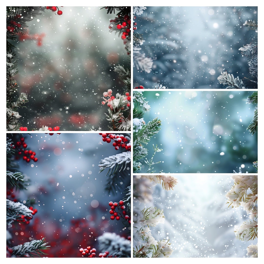 5 Christmas Card Backgrounds: Snowy Pine, Berries (5x7 PNG Digital) - Etsy