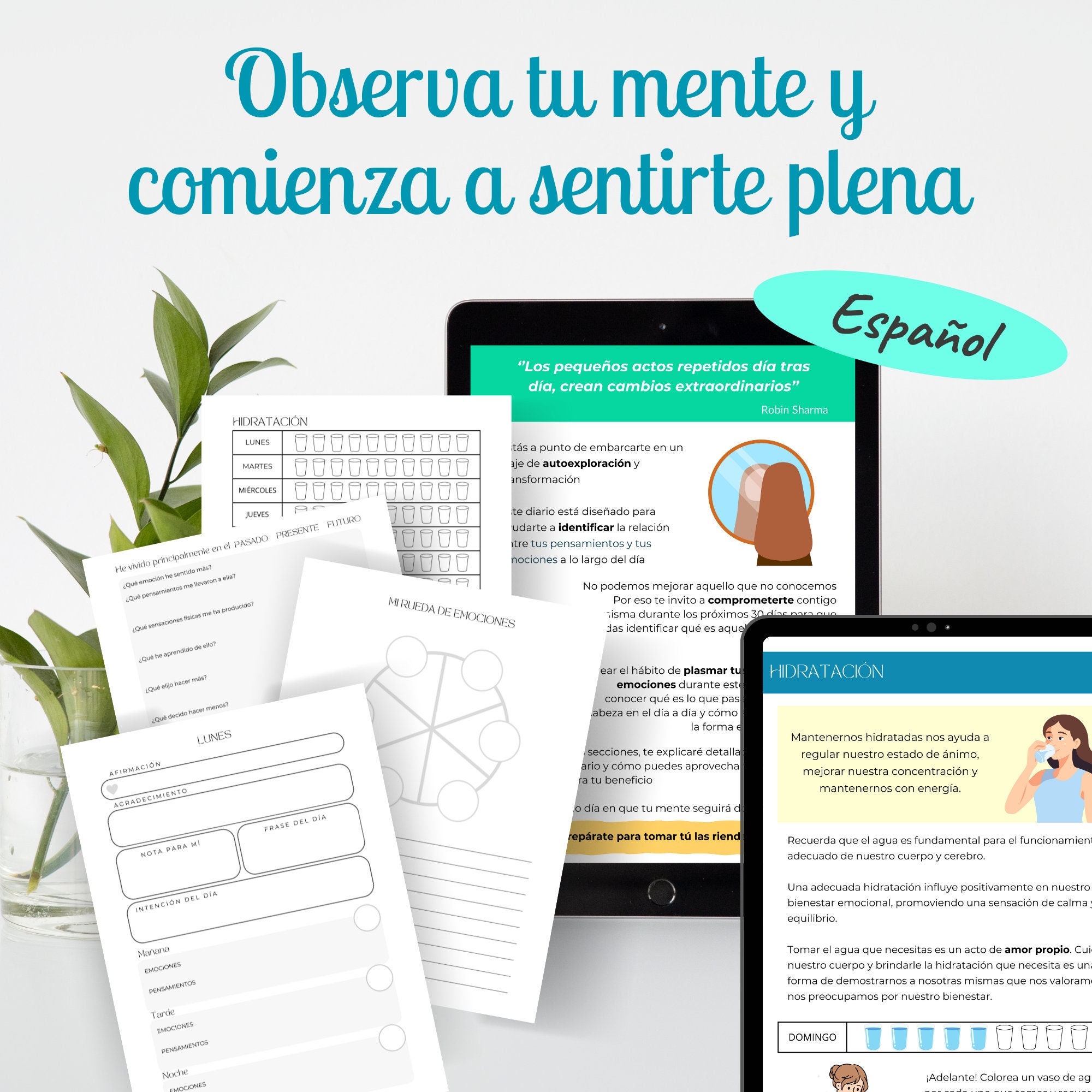 Digital and Printable Emotional Diary Mental Organization, Therapy and ...