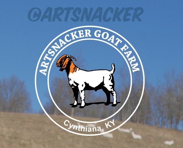 CUSTOM Boer Goat Decal Sticker Farm Sign 3 Color Layered Vinyl - Etsy