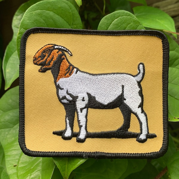 Boer Goat Etsy