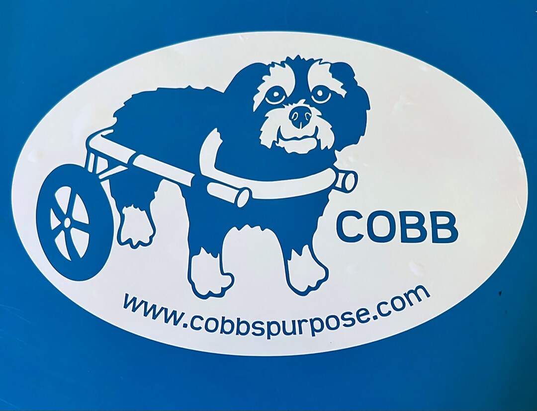 COBB the Paralyzed Havapoo DECAL Social Media Sensation Cobb's Purpose ...