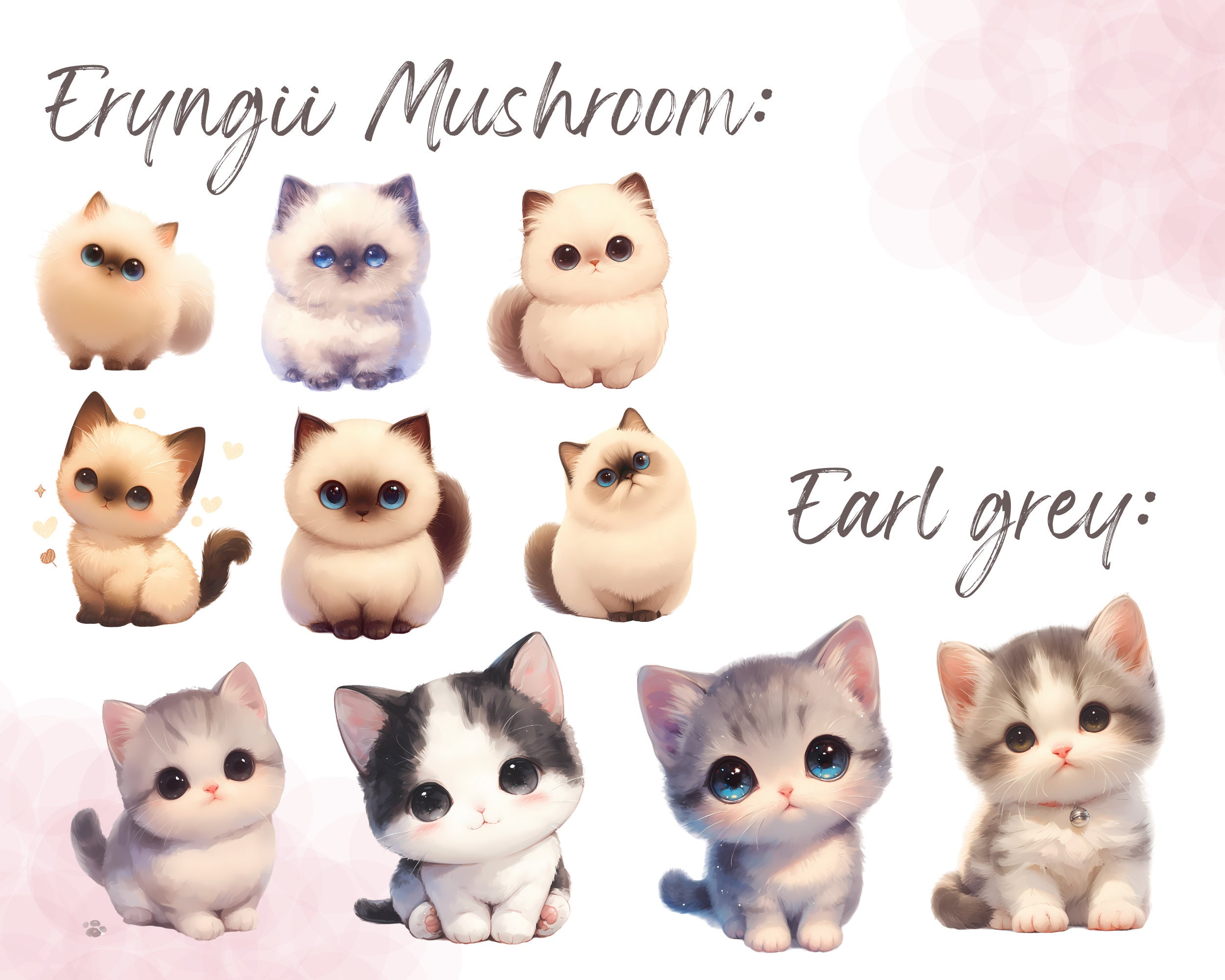 Cute Cats Kitten Clipart | 40 PNG Cute Kitten Cat PNG Perfect for Card ...