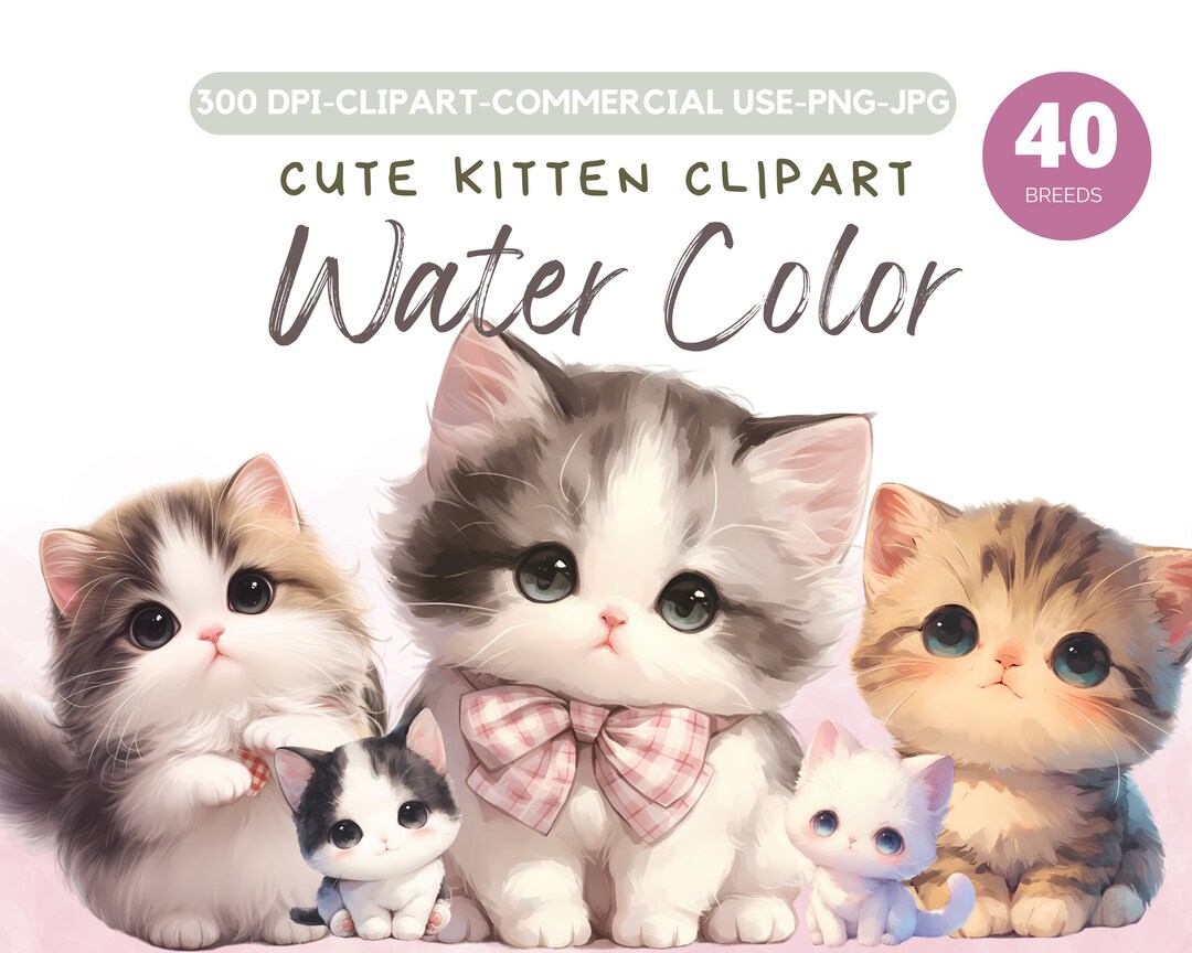 Cute Cats Kitten Clipart | 40 PNG Cute Kitten Cat PNG Perfect for Card ...