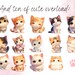 Cute Cats Kitten Clipart | 40 PNG Cute Kitten Cat PNG Perfect for Card ...