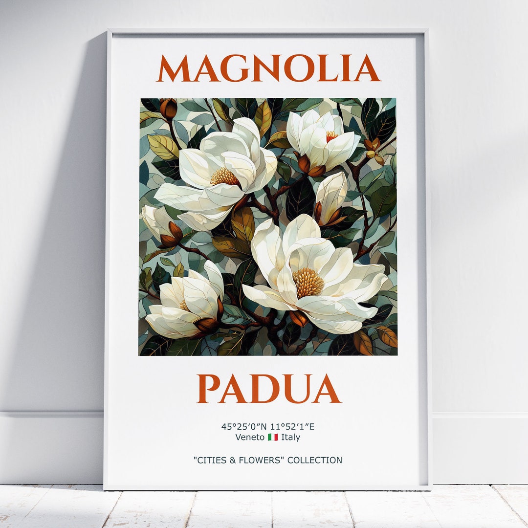 Padua City Travel Poster Padua Italy Wall Art. Flower Vintage Poster ...