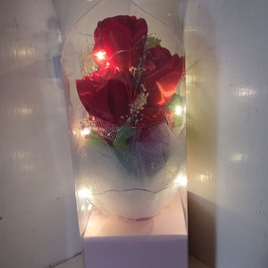 6 Piece Red Rose Bouquet in Pink Box - Etsy