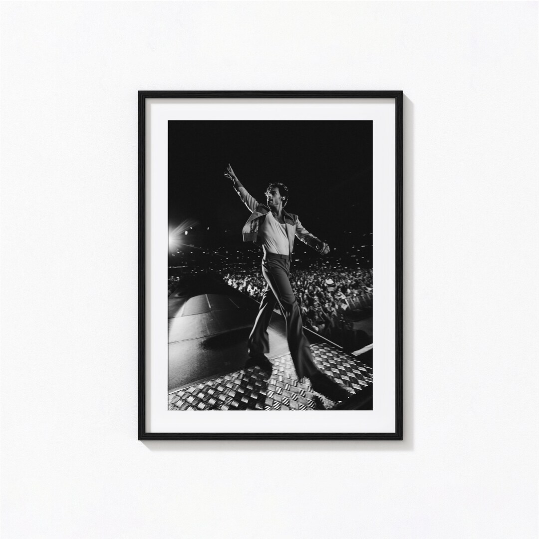 Harry Styles Posters / Harry Styles Black and White Wall Art, Album ...