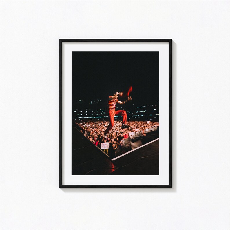 Harry Styles Posters / Harry Styles Black and White Wall Art, Album ...