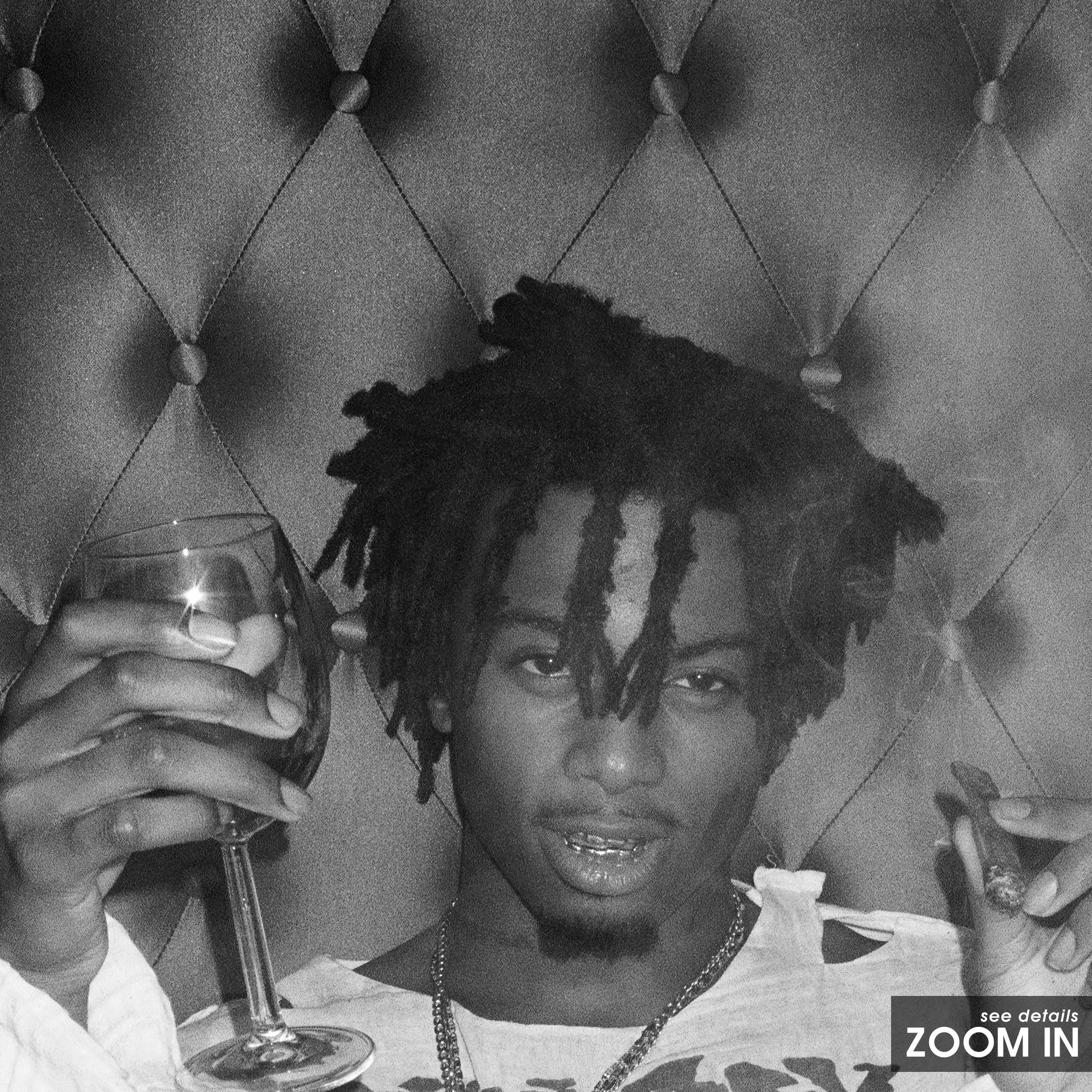 Playboi Carti Posters / Playboi Carti Black and White Wall Art, Album ...