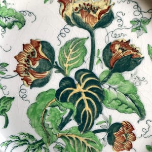 Antique Wedgwood Ertruria Water Nymph 8 1/4" Salad Plates, Set of 5 ...