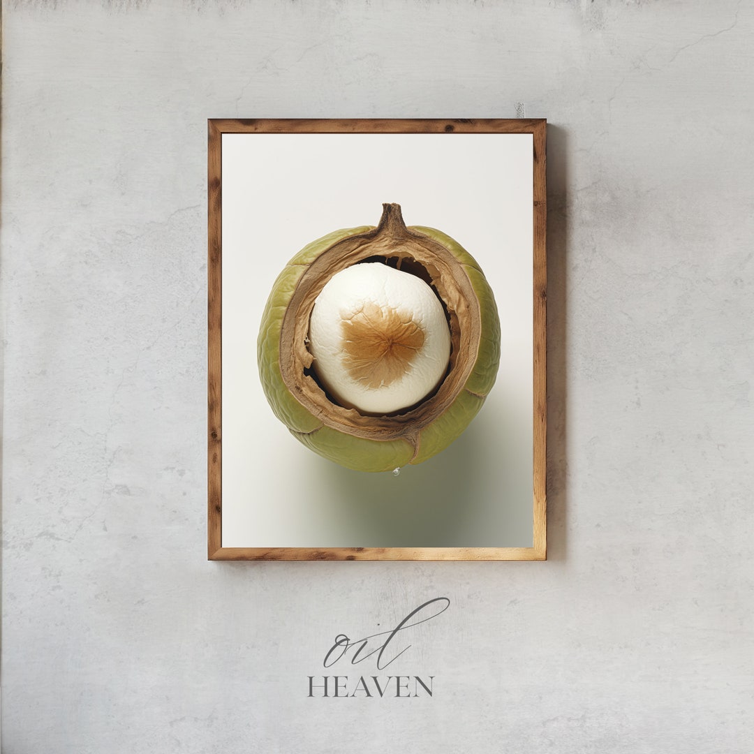 Vintage Chestnut Illustration Printable Art of Still Life Digital Print ...