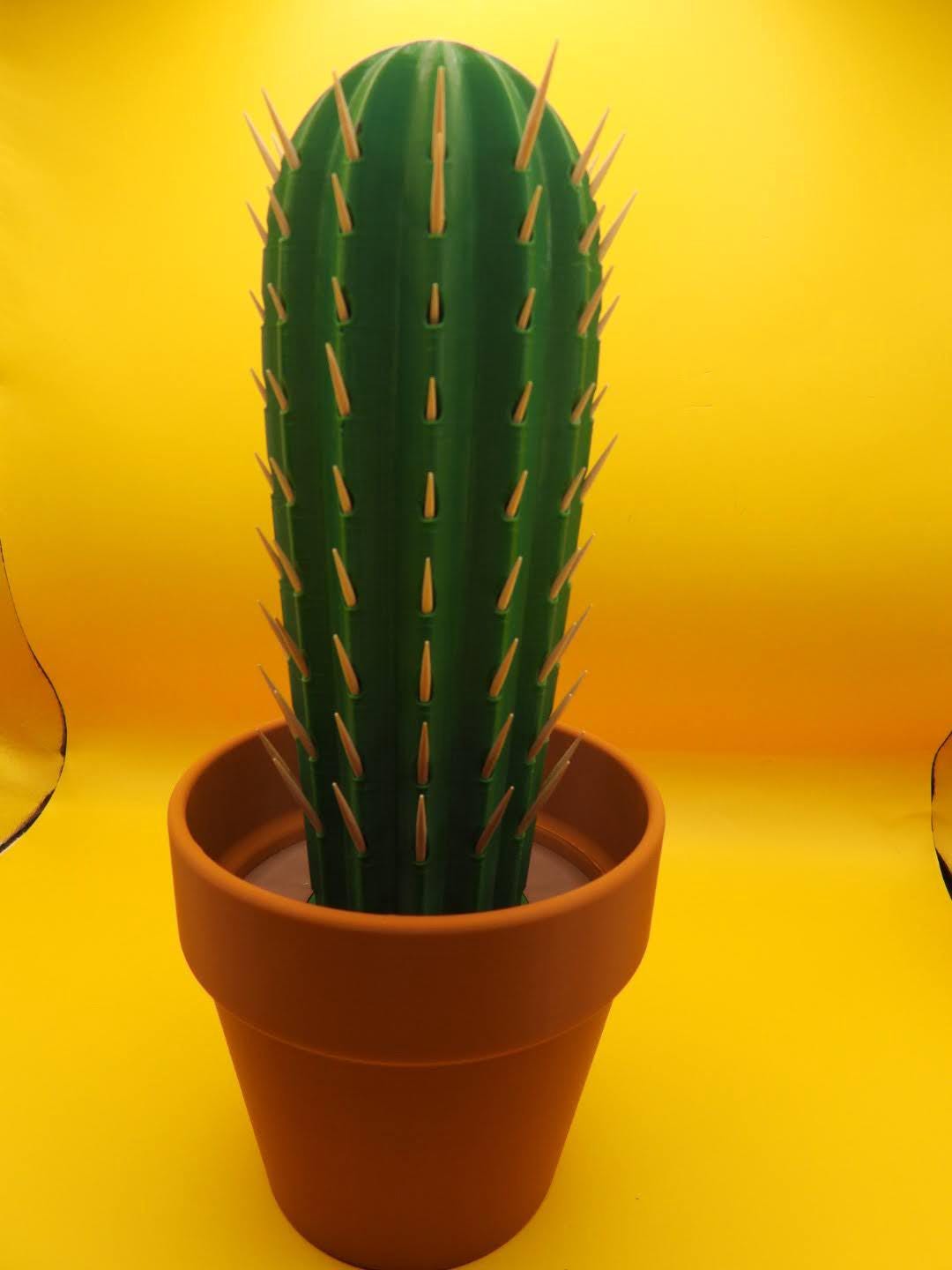 Cactus Toothpick Holder! - Etsy