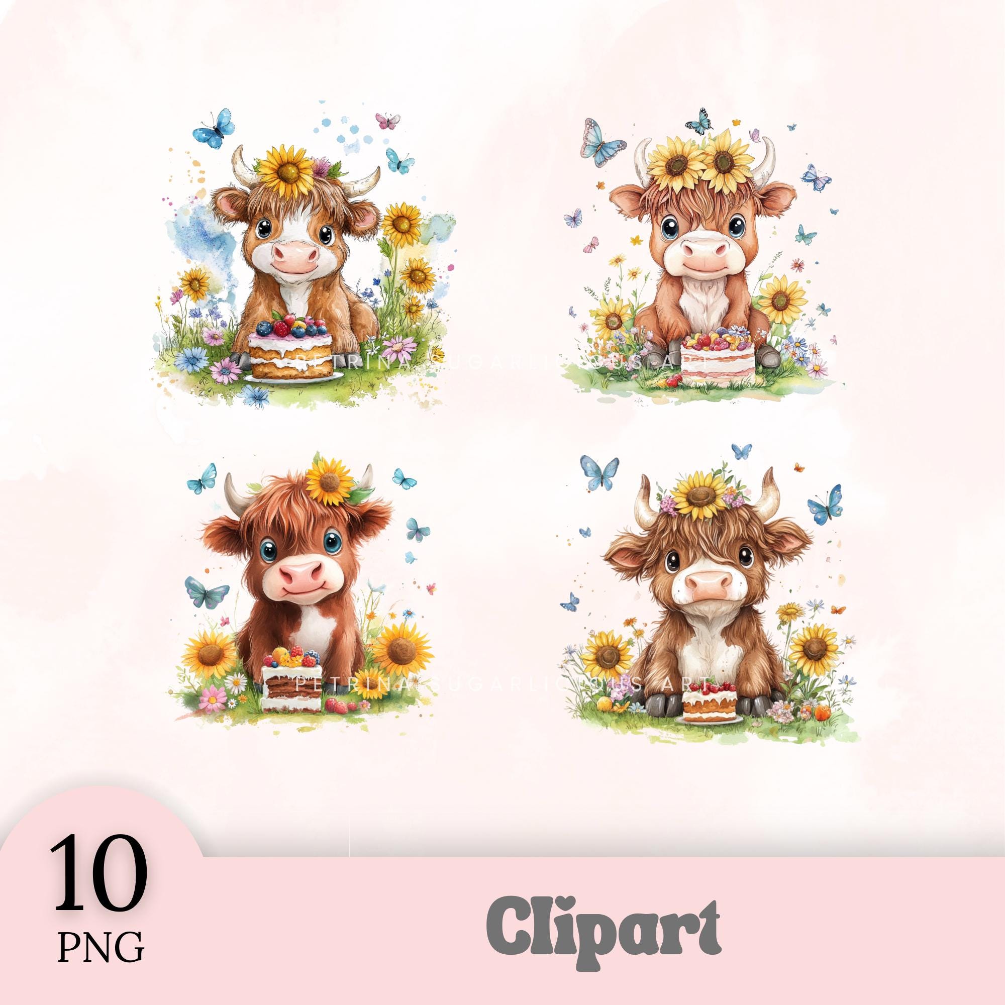 Cute Birthday Cows Clipart | 10 PNG Highland Cow Illustrations ...