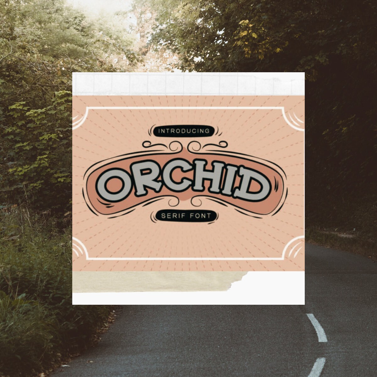 Orchid Font Bundle Fonts for Crafters, Canva Font, Procreate Font, Logo ...
