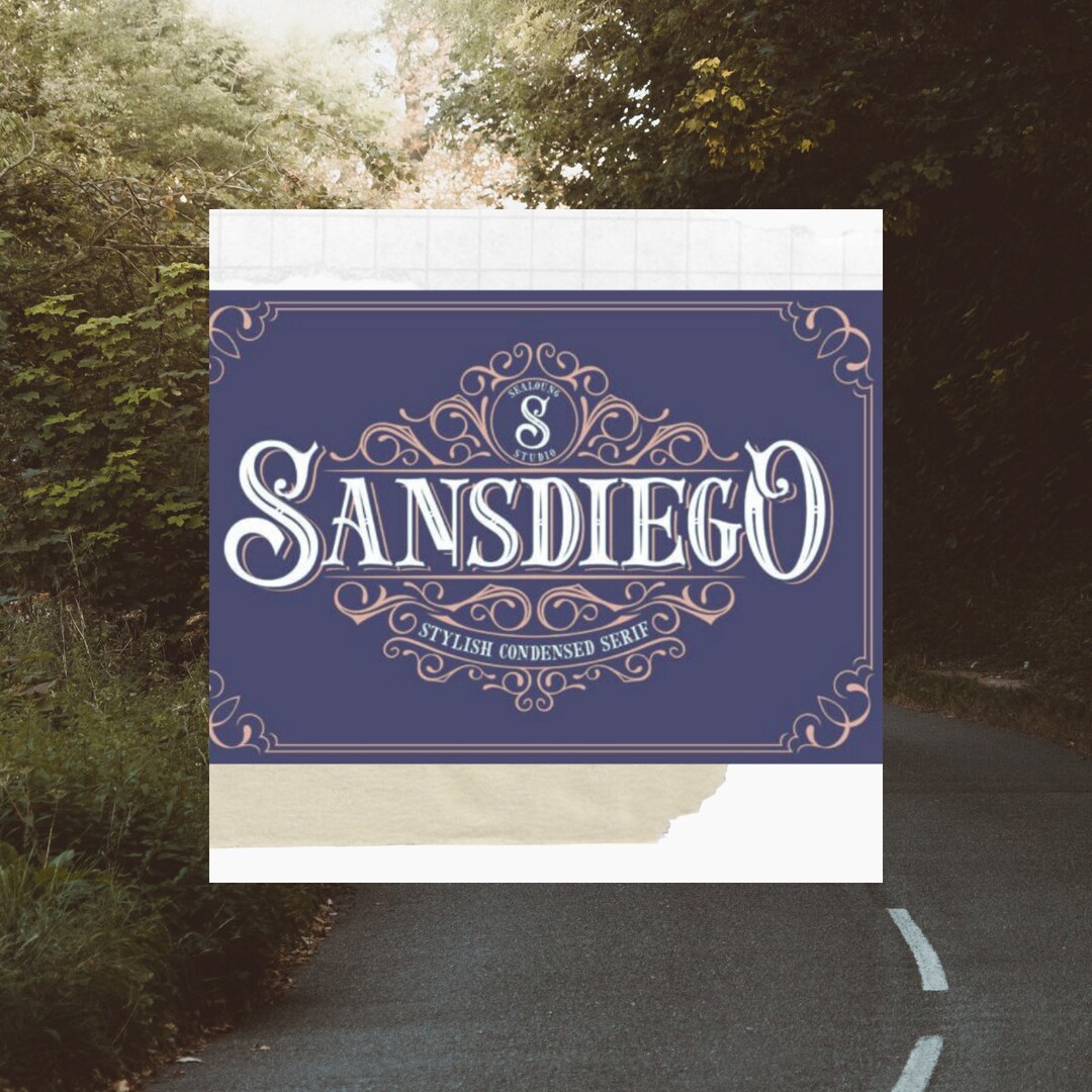Sansdiego Font Bundle Fonts for Crafters, Canva Font, Procreate Font ...