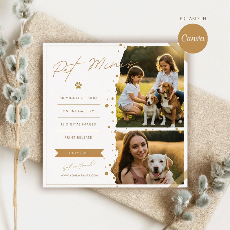 Pet Mini Session Canva Editable Template Pets Photoshoot Advertisement ...