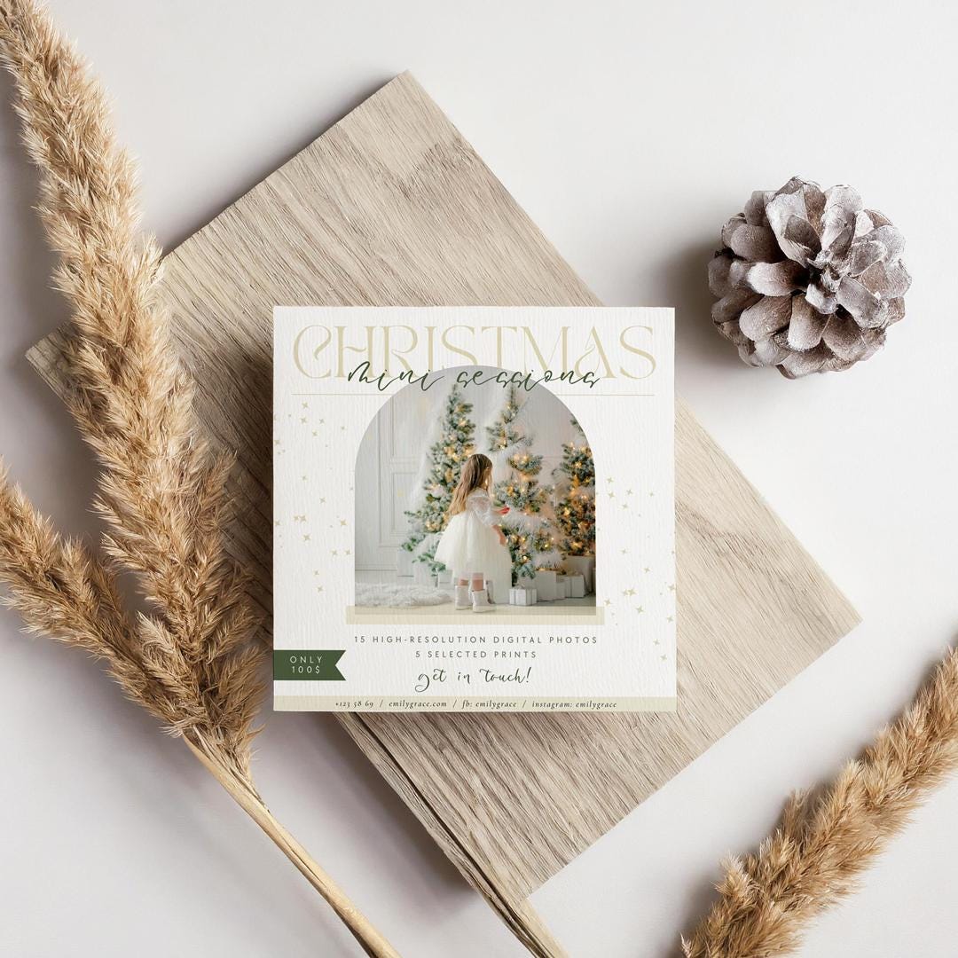 Christmas Mini Session Canva Editable Template Instagram Post & Story ...