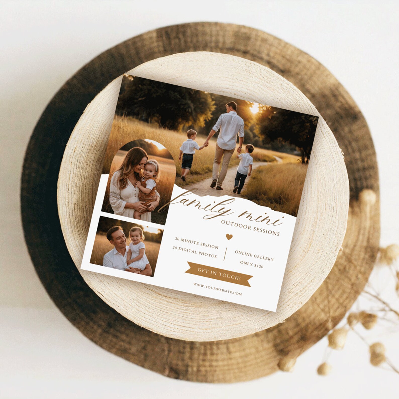 Editable Mini Session Canva Template Photo Session Advertisement Family ...