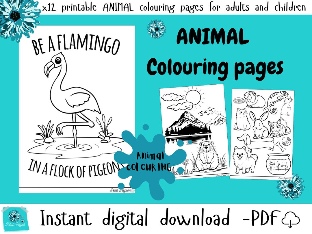 12 ANIMAL Colouring Pages | Easy, Relaxing & Cozy Adult Sheets | Wild ...