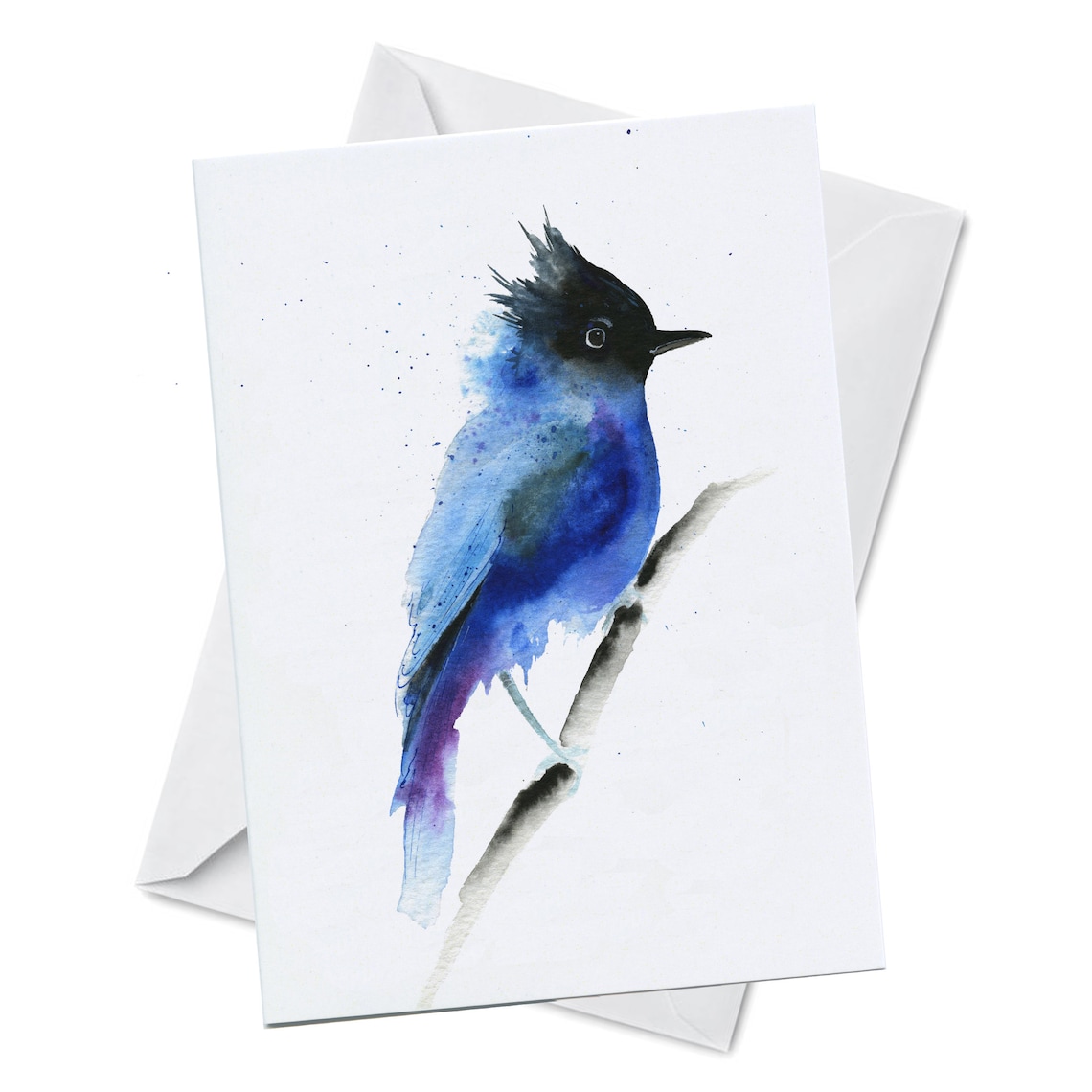 Greeting Card - STELLAR - Blue Jay Stellar Stellars Vibrant Dark ...