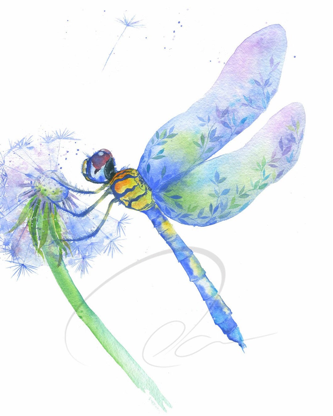 Dragonfly - Watercolor Art Print - "on the Wing" - Seeding Dandilion ...