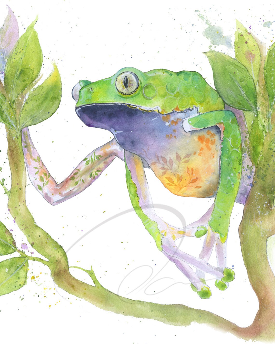 Kambo Art Print Medicine Frog South American Jungle - Etsy