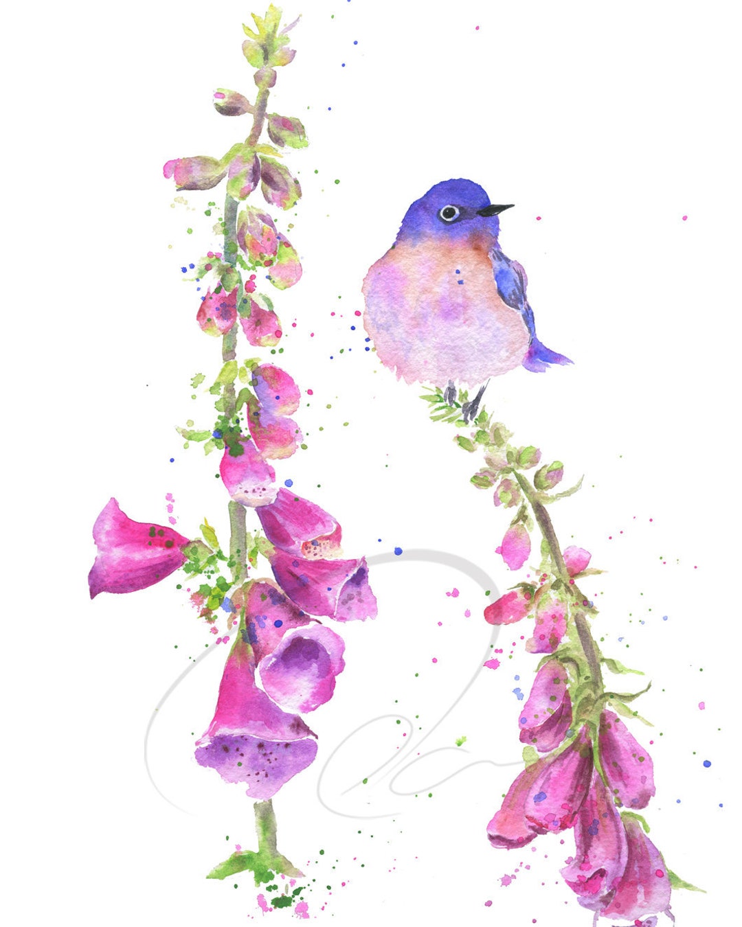 Perfect Perch - Western Bluebird - Indigo Bunting - Purple Hyacinths ...