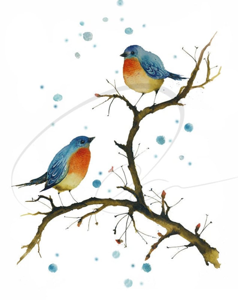 Warm Inside - English Robins - Watercolor Art Print - Cute Love Birds ...