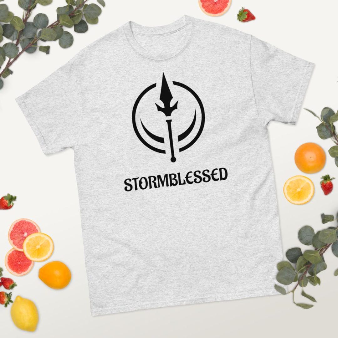 Stormlight Archive Shirt | Stormlight Archive Gift | Kaladin ...