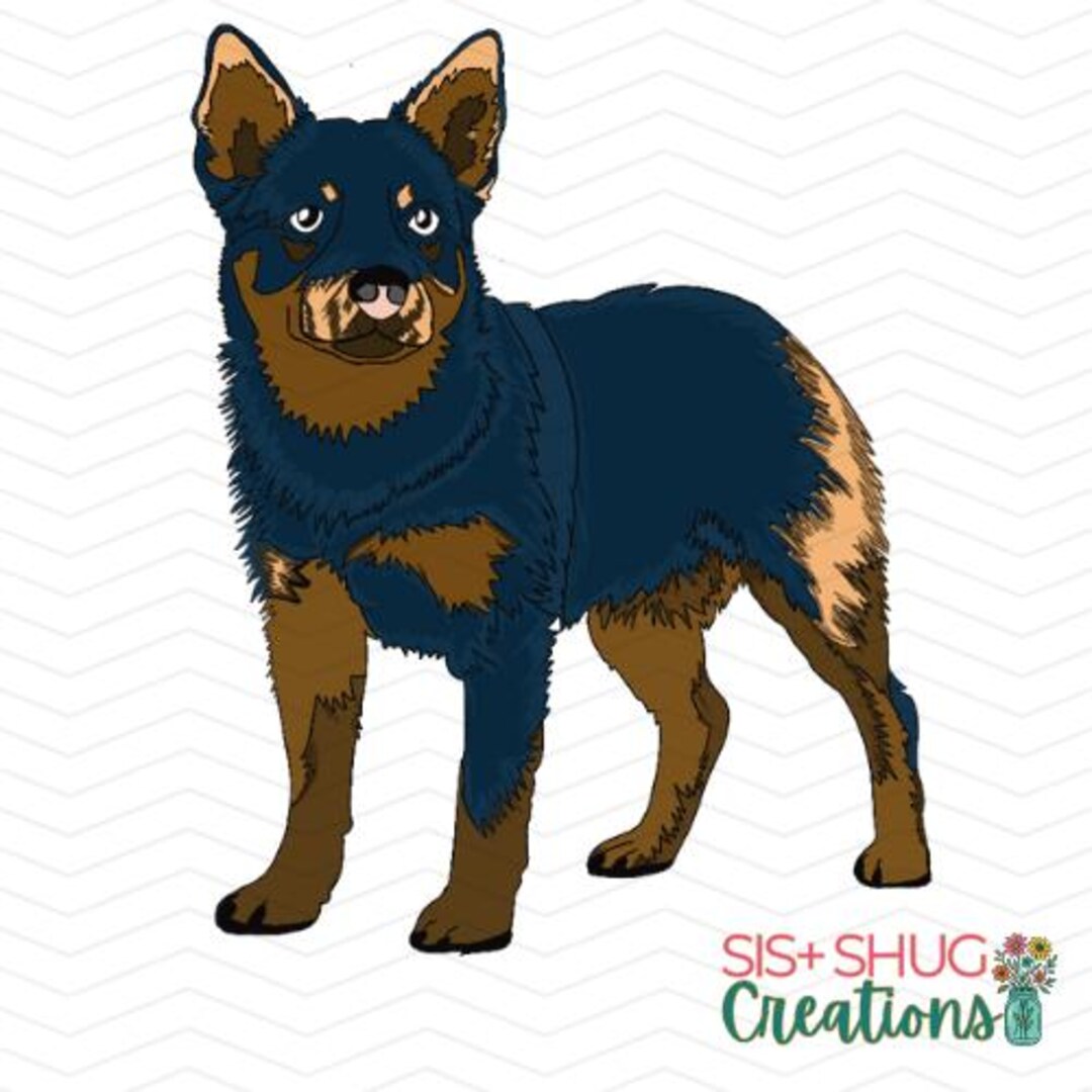 Blue Heeler PNG | Hand Drawn | Sublimation Design - Etsy