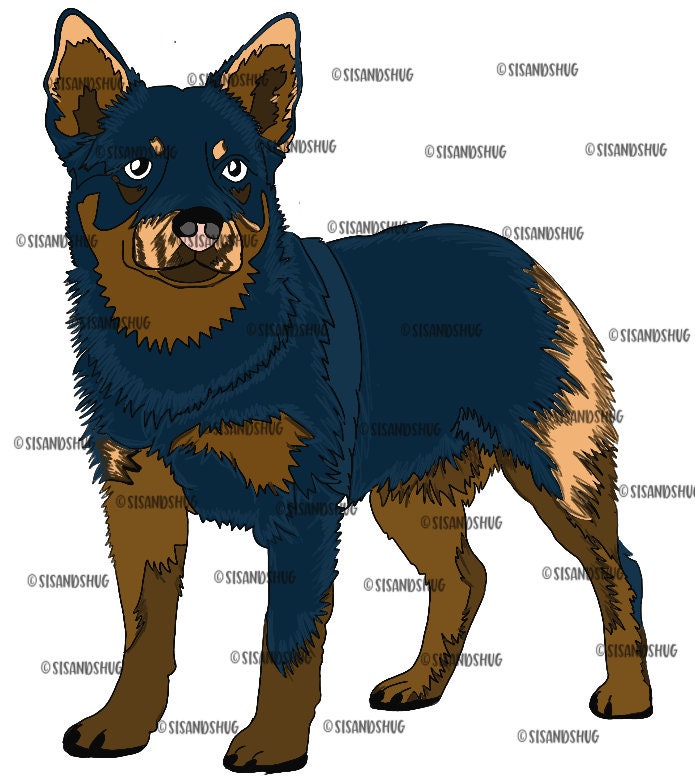 Blue Heeler PNG | Hand Drawn | Sublimation Design - Etsy