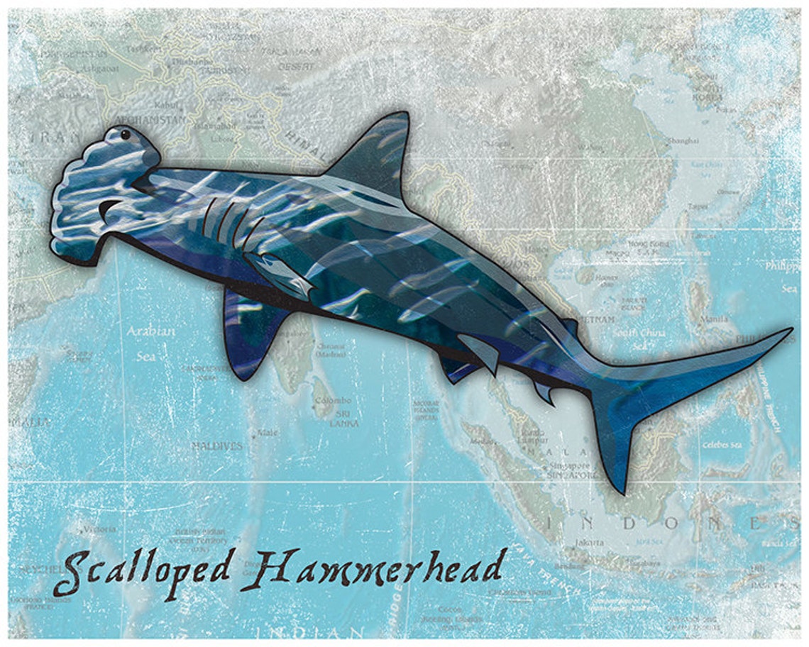 Sharks Set of Four Super Cool Trendy Wall Prints. Perfect - Etsy