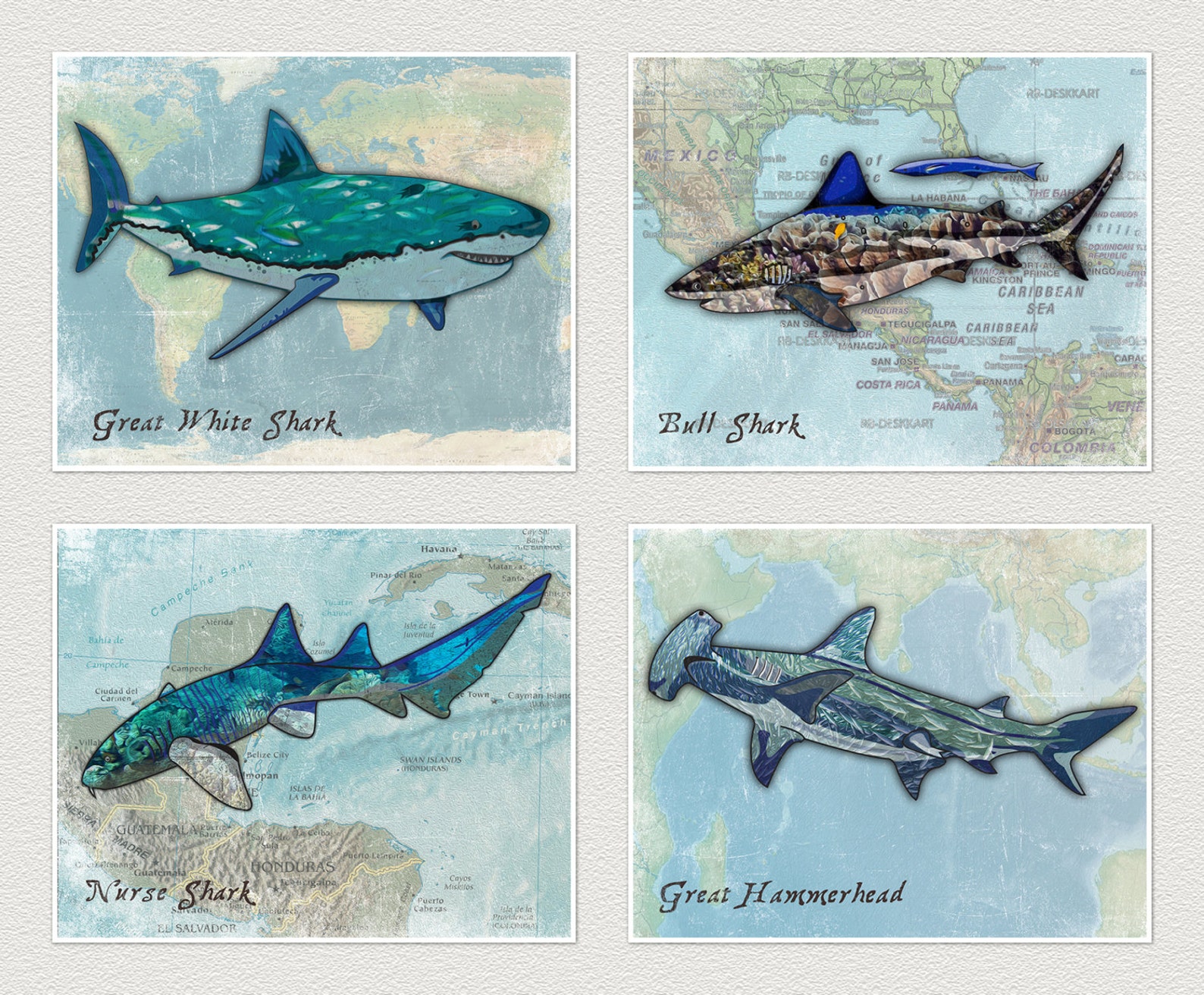 Sharks Set of Four Super Cool Trendy Wall Prints. Perfect - Etsy