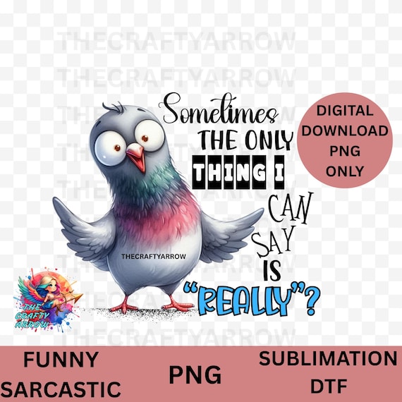 Pigeon Funny Quotes