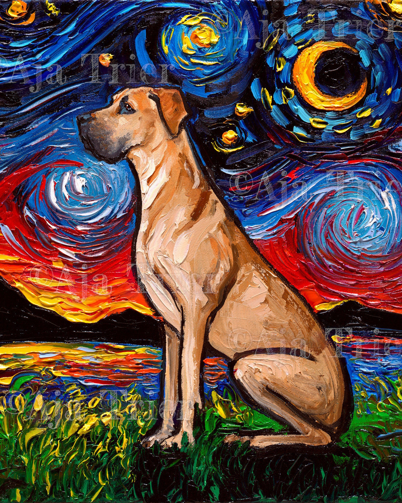 Fawn Great Dane Night Art CANVAS Print Starry Night Dog Ready - Etsy